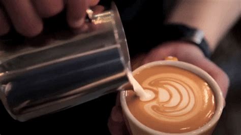 Coffee Latte Art 