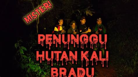 LIVE MISTERI || PENUNGGU HUTAN KALI BRADU - YouTube