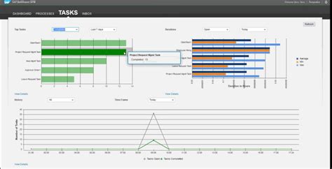 Sap Bpm Analytics Sapours Technologies Pvt Ltd