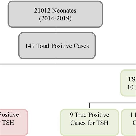 Flow Chart Showing The Total Number Of Neonates Included In The Study