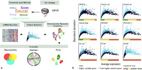 characterization of highly variable genes by different methods in the