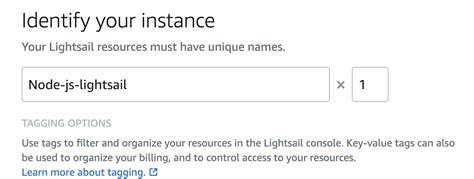 Github Rushabhmahaledeploy Nodejs Application Lightsail Instance