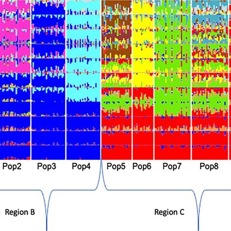 Admixture Analysis For Ancestry Population Clusters K 212 Among