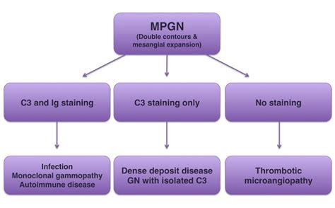 MPGN Think Different Renal Fellow Network