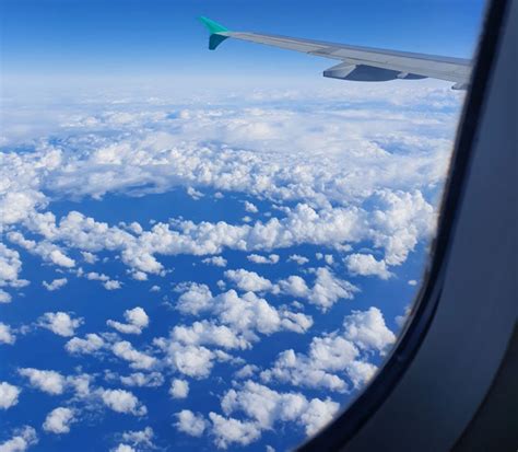 유학생 딸 메이지 대학 소논문 따라다녀온 이야기 네이버 블로그