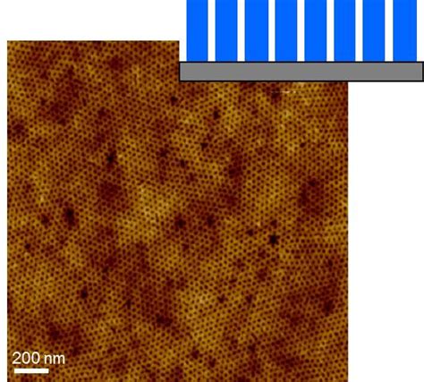 Block Copolymer Templates Collaborative Research Center 1333