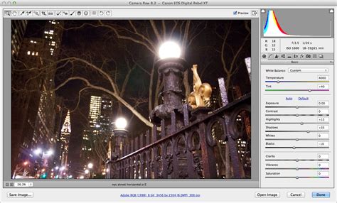working with camera raw files free adobe bridge tutorial