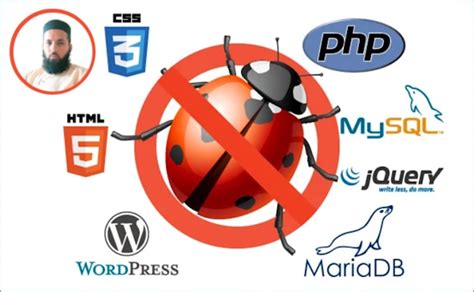 Fix Your Wordpress Php Html Jquery Css Reactjs Angularjs Javascript Bugs By Alibbe