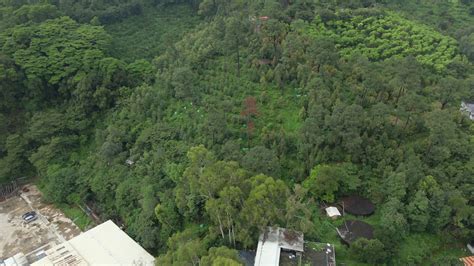 Saborigin Object Detection Dataset V4 2024 12 09 838am By Sab