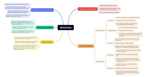 ¿qué Son Los Nutrientes