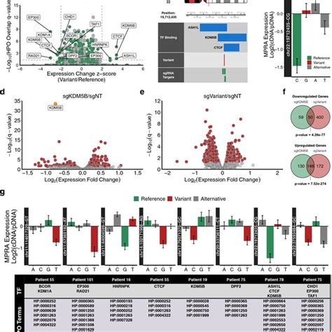 Integrative Prediction Of Rare Variant Pathogenicity A Significance