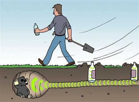 How To Install A Diy Irrigation System Artofit