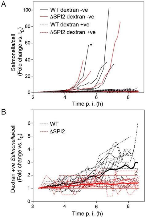 Quantification Of Intracellular Replication To Differentiate Between