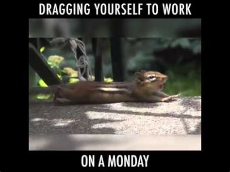 Dragging Yourself To Work On A Monday Youtube