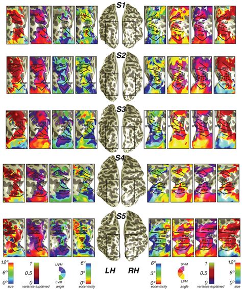 Figures and data in Visual field map clusters in human frontoparietal cortex | eLife