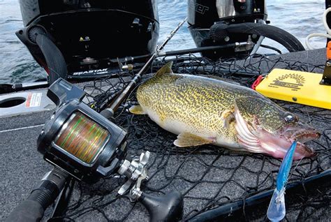 Trolling Lead Core For Walleye Ontario Out Of Doors