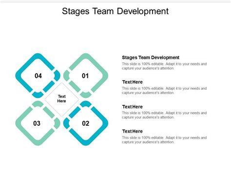 Stages Team Development Ppt Powerpoint Presentation Styles Infographics Cpb