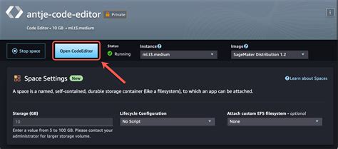 Amazon Sagemaker Studio Adds Web Based Interface Code Editor Flexible