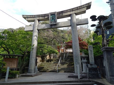 あなたは愛されていることを忘れないでくださいね 87回目 龍遣い、龍の伝導師こういちのブログ
