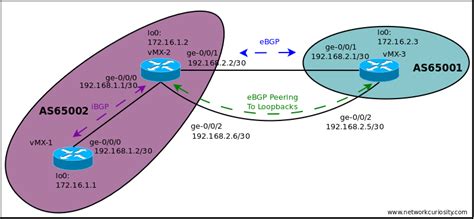 Junos BGP Establishment Troubleshooting Network Curiosity