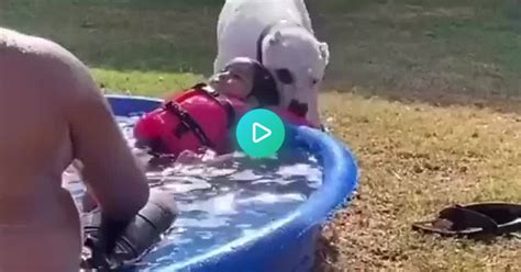 Sobreprotector Album On Imgur