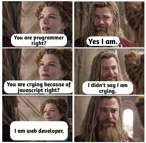 you are programmer right
