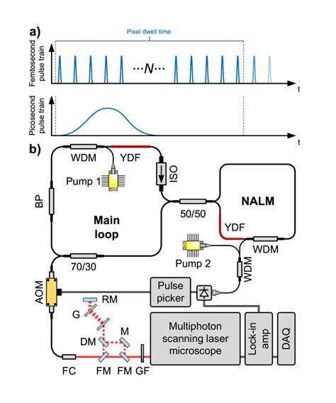 240212911 Efficient Multiphoton Microscopy With Picosecond Laser Pulses