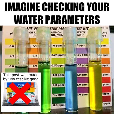 Imagine Checking Your Water Parameters R Aquariummemes