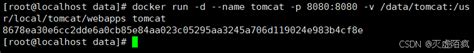 【docker】部署tomcat docker 部署tomcat csdn博客