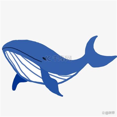 鲸鱼简笔画彩色图片（热门10张） 简笔画图片大全