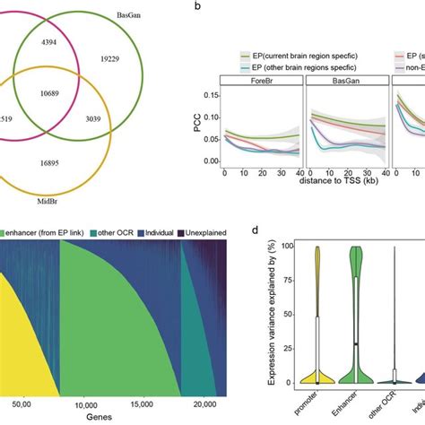 Brain Region Specific Neuronal Gene Enhancer Links A Overlap Of Abc
