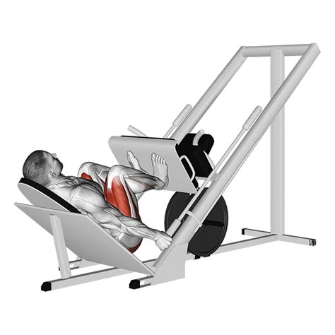Narrow Stance 45 Degree Leg Press Smartworkout