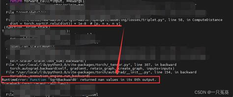 【解决报错】runtimeerror Function ‘sqrtbackward0‘ Returned Nan Values In Its 0th Outputruntimeerror