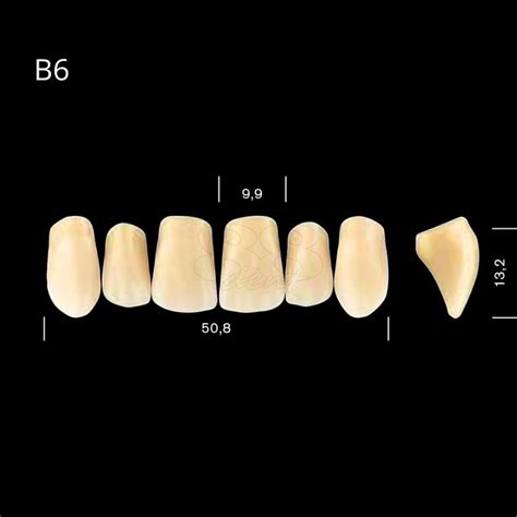 B6 Anterior U Plus Comp A3