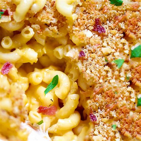 Scd Mac Cheese Casserole Grain Free Gluten Free
