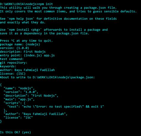 Create Project In Nodejs About Lovia