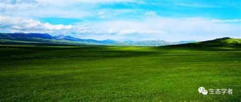 《science》正刊！领域大牛重磅综述！ Book学术