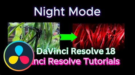 Night Mode How To Turn Video From Day To Night In DaVinci Resolve 18 YouTube