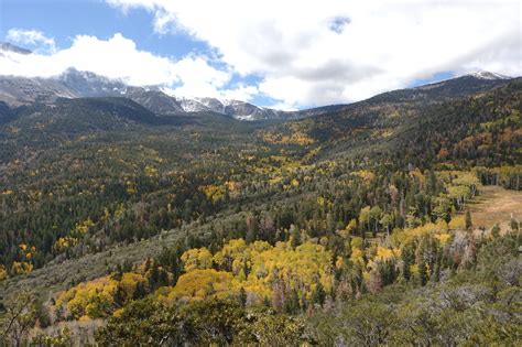 Where To See The Best Fall Foliage In Nevada