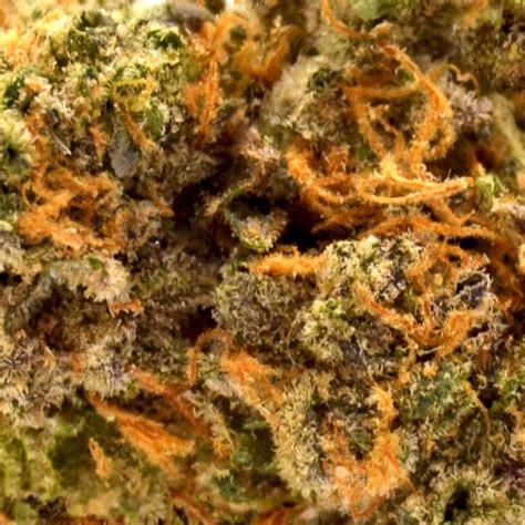 Thca Effects Does Thca Get You High Heres What To Expect