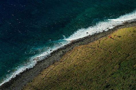 Grass Drone View Photos Download The Best Free Grass Drone View Stock