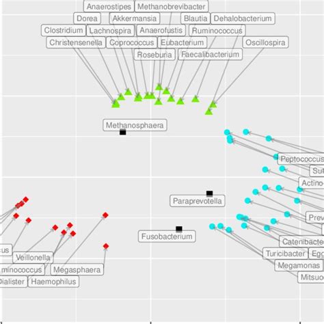 posterior mean latent positions of 54 genera in qmp data vandeputte et