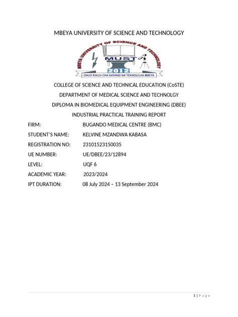 Ipt Report Final Pdf