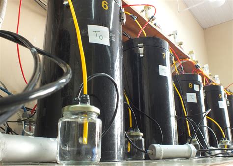 Unprecedented Bioreactor System Monitors Composting Processes In The