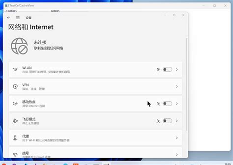 C使用cefsharp自定义缓存实现因特网
