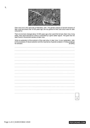 Reproduction And Mutation Teaching Resources