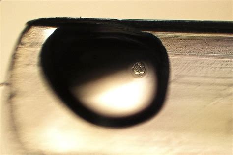 What Exactly Is Ivf The Common Fertility Procedure Explained