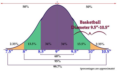 Study Guide The Empirical Rule