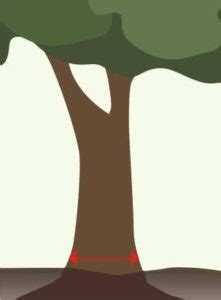 TPZ And SRZ Calculator Arborlogix