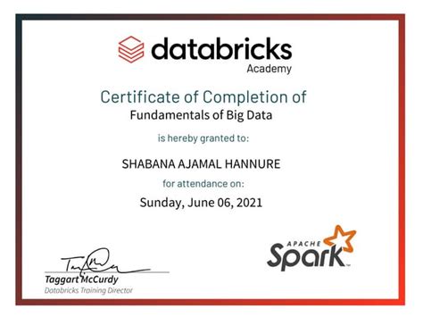 Databricks Certificate Big Data Pdf